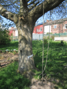 Orientation Schema - 23 Activities + Definition + Tips - Early Impact ...