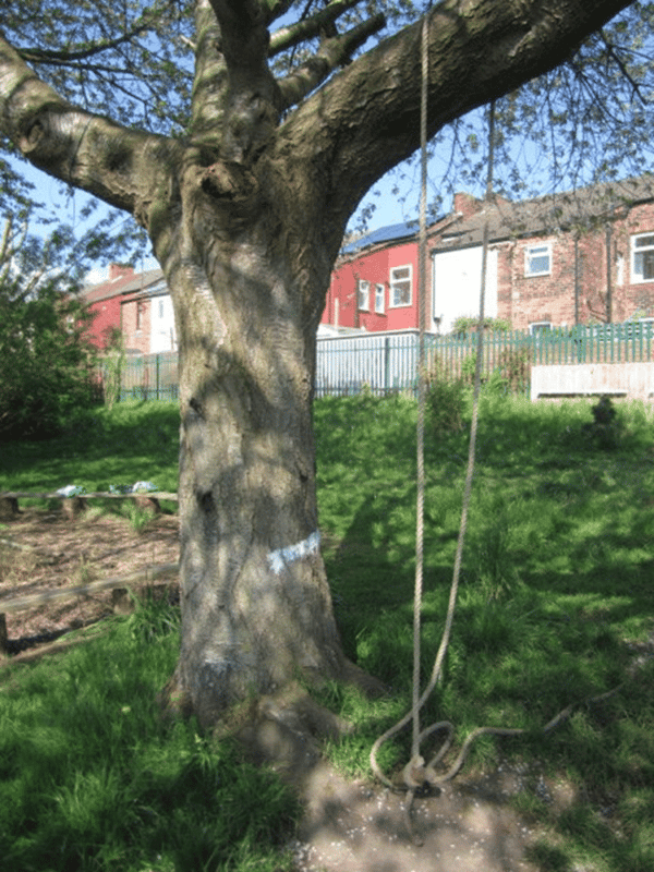 Orientation Schema - 23 Activities + Definition + Tips - Early Impact ...